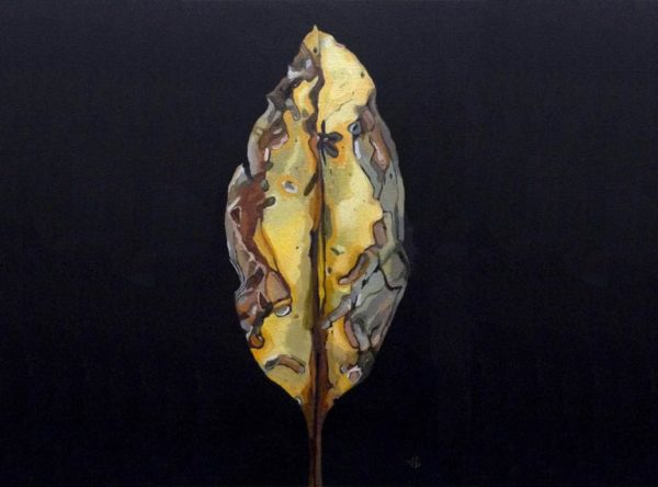 Gallery - Jenny Gilbertson